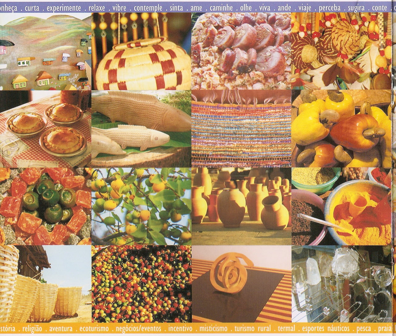 Brazilian Health Smoothie - Saude do Brasil