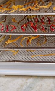 How To Make Homemade Smoked Paprika (with video)