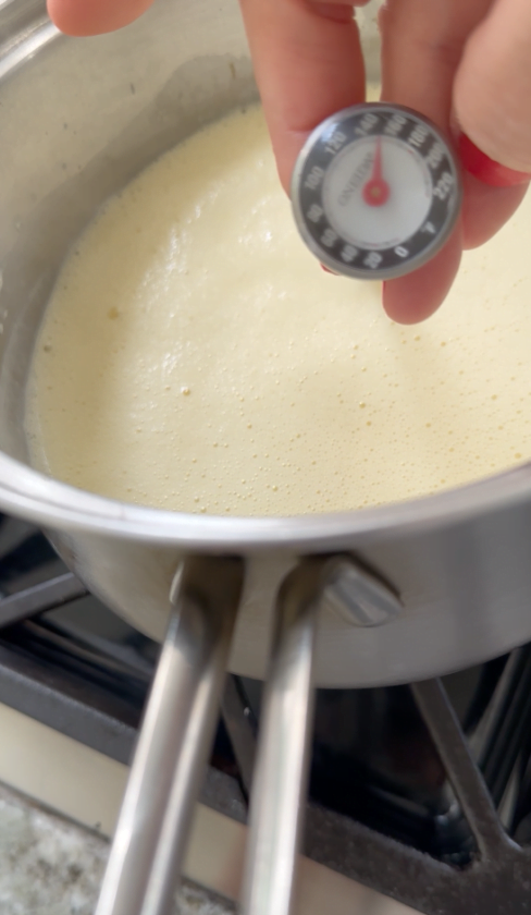 Fresh Fennel Pollen Ice Cream Recipe (with video)