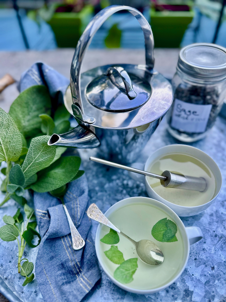 Sage Recipes and Garden To Health Tips (with videos)