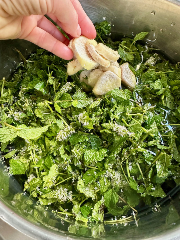 IBS Herbal Tea Recipe Irritable Bowel Syndrome Relief