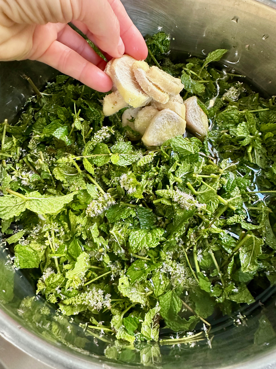 IBS Herbal Tea Recipe Irritable Bowel Syndrome Relief